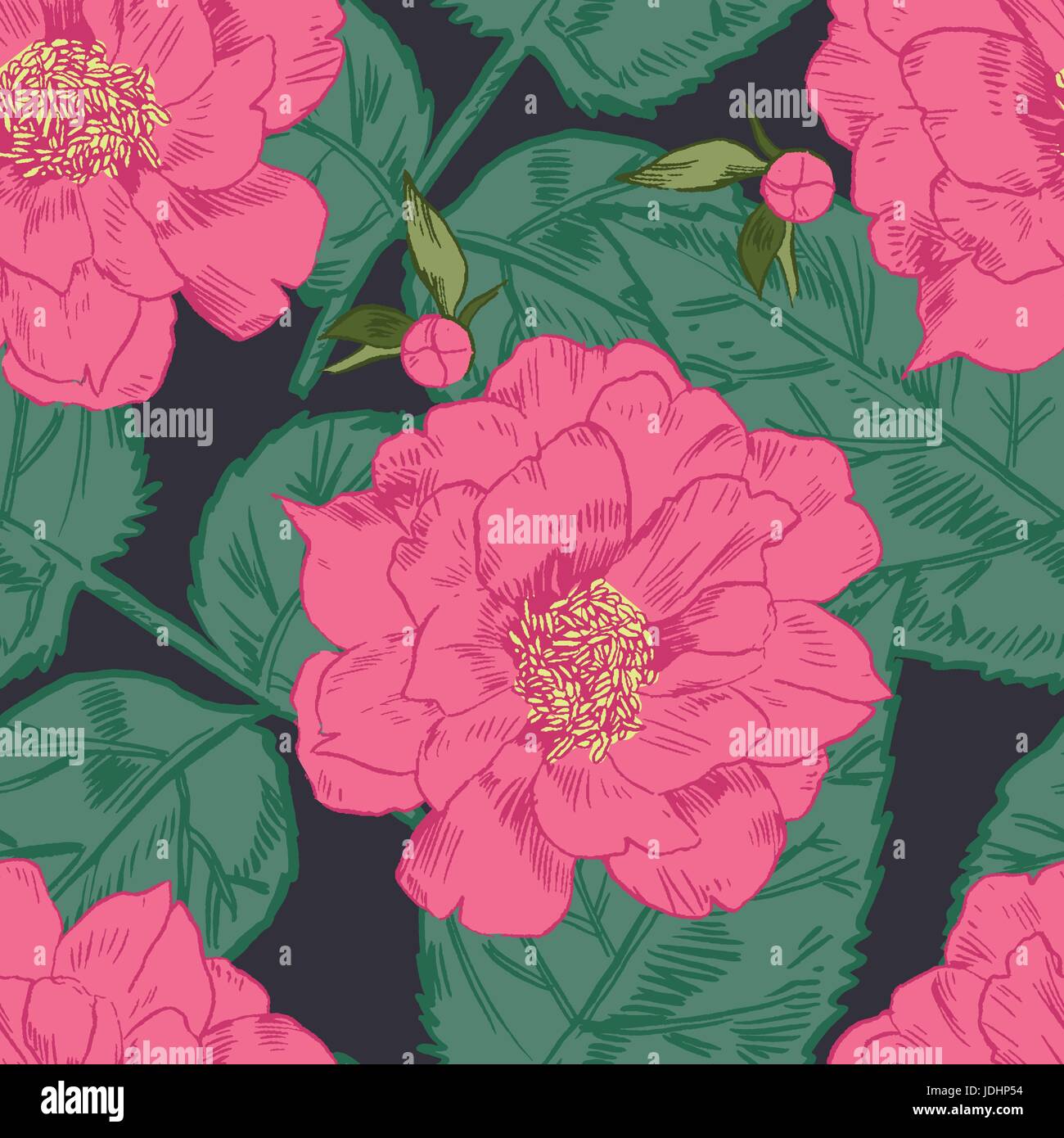 Hand-drawing peonies. Vector graphic flowers. Decorative background for ...