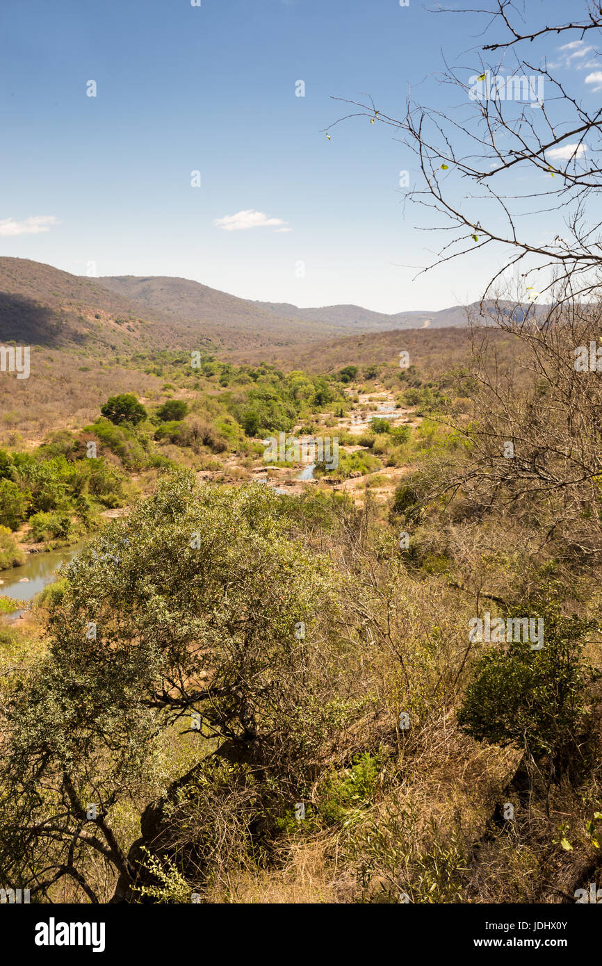 Savanna bush landscape hi-res stock photography and images - Alamy