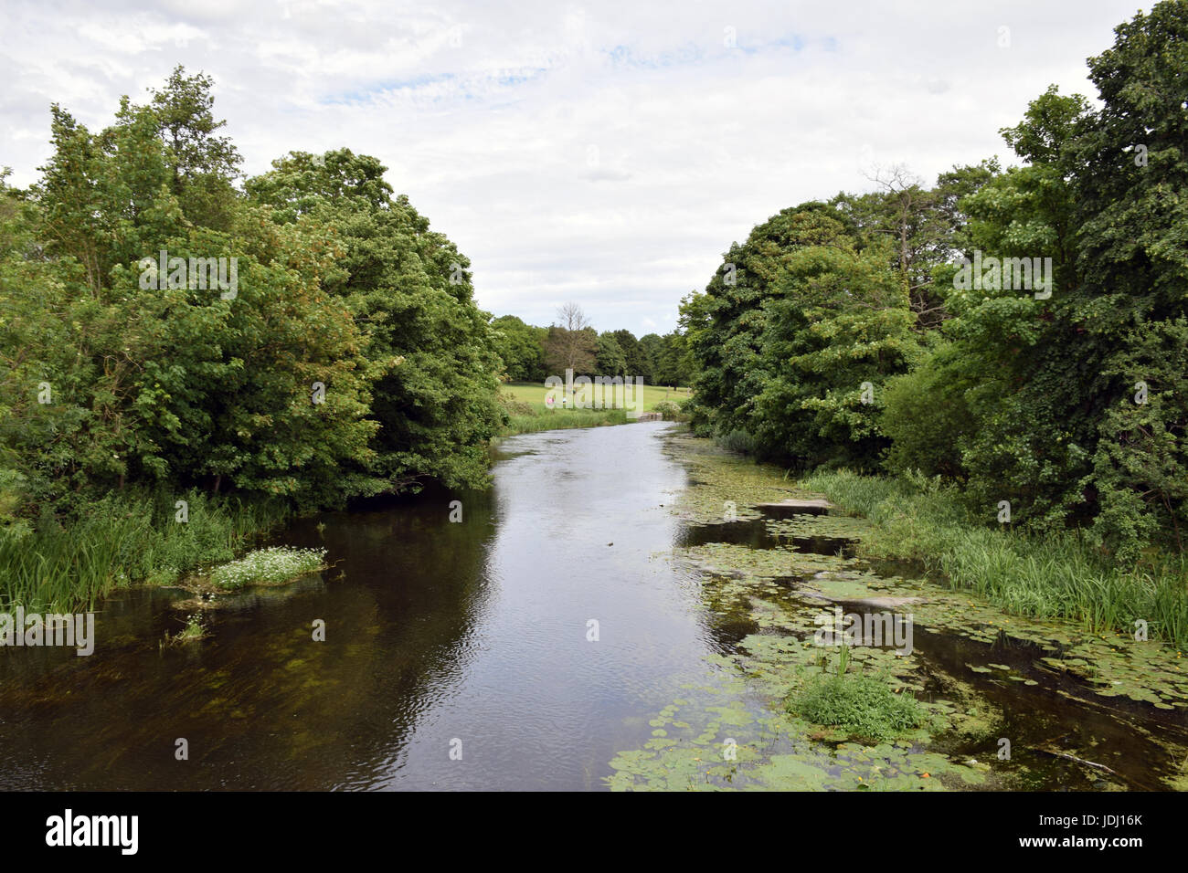River Wensum, Norwich UK Stock Photo - Alamy