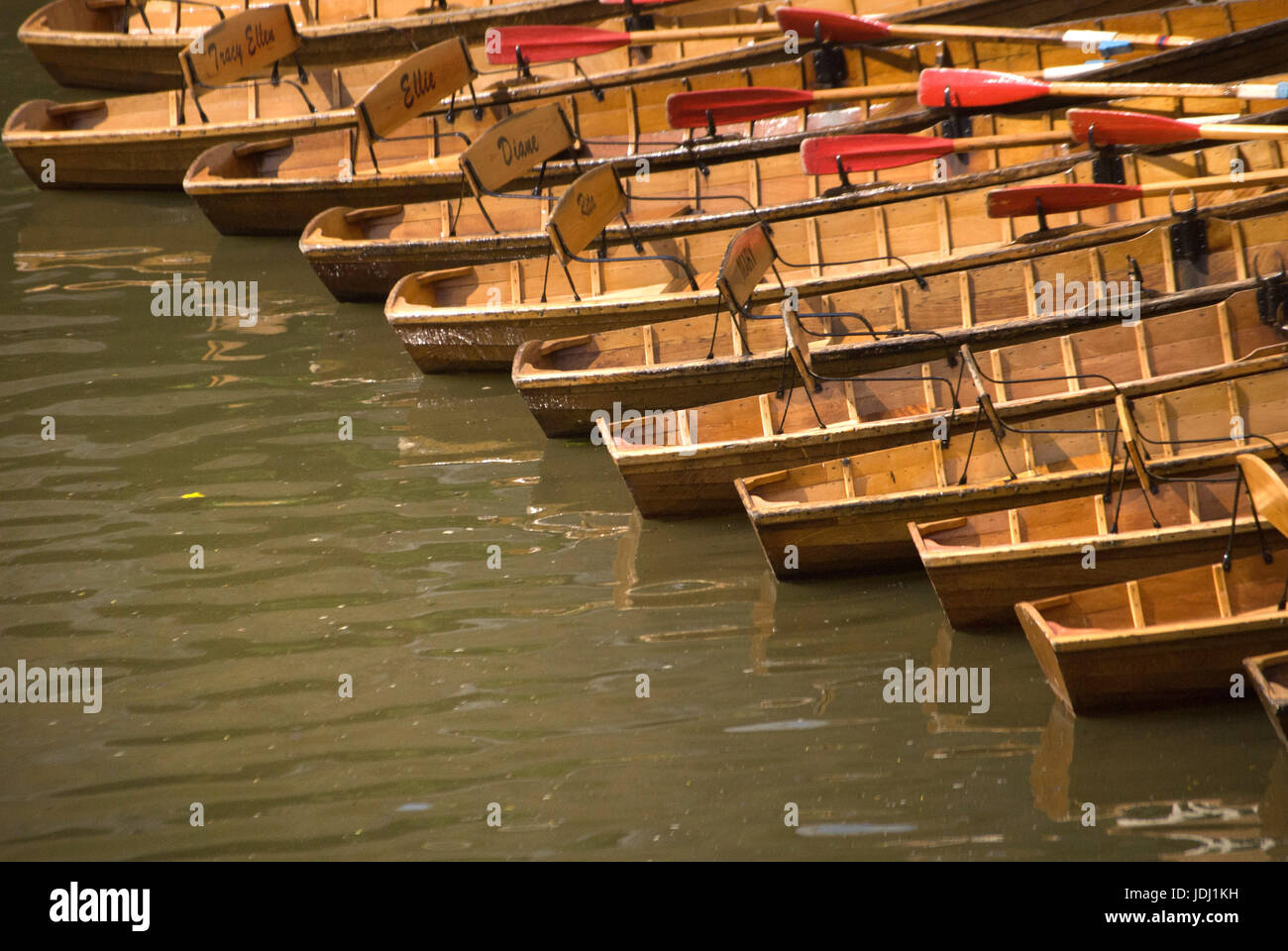 Rowing boats on the River Wear in Durham Stock Photo - Alamy