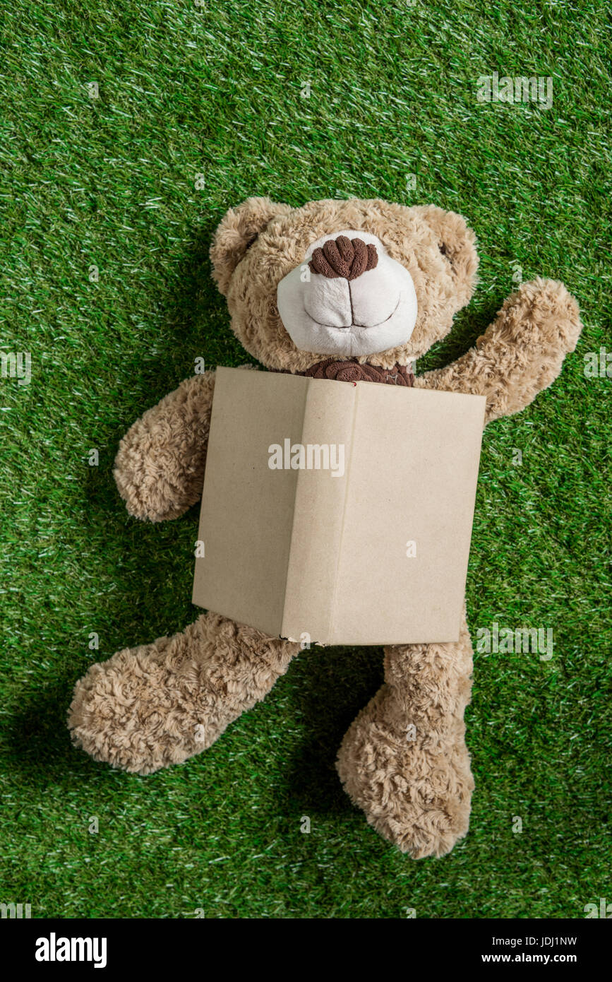 top view of teddy bear toy and book on green grass, education kids ...