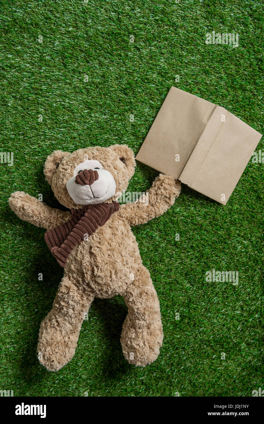 top view of teddy bear toy and book on green grass, education kids ...