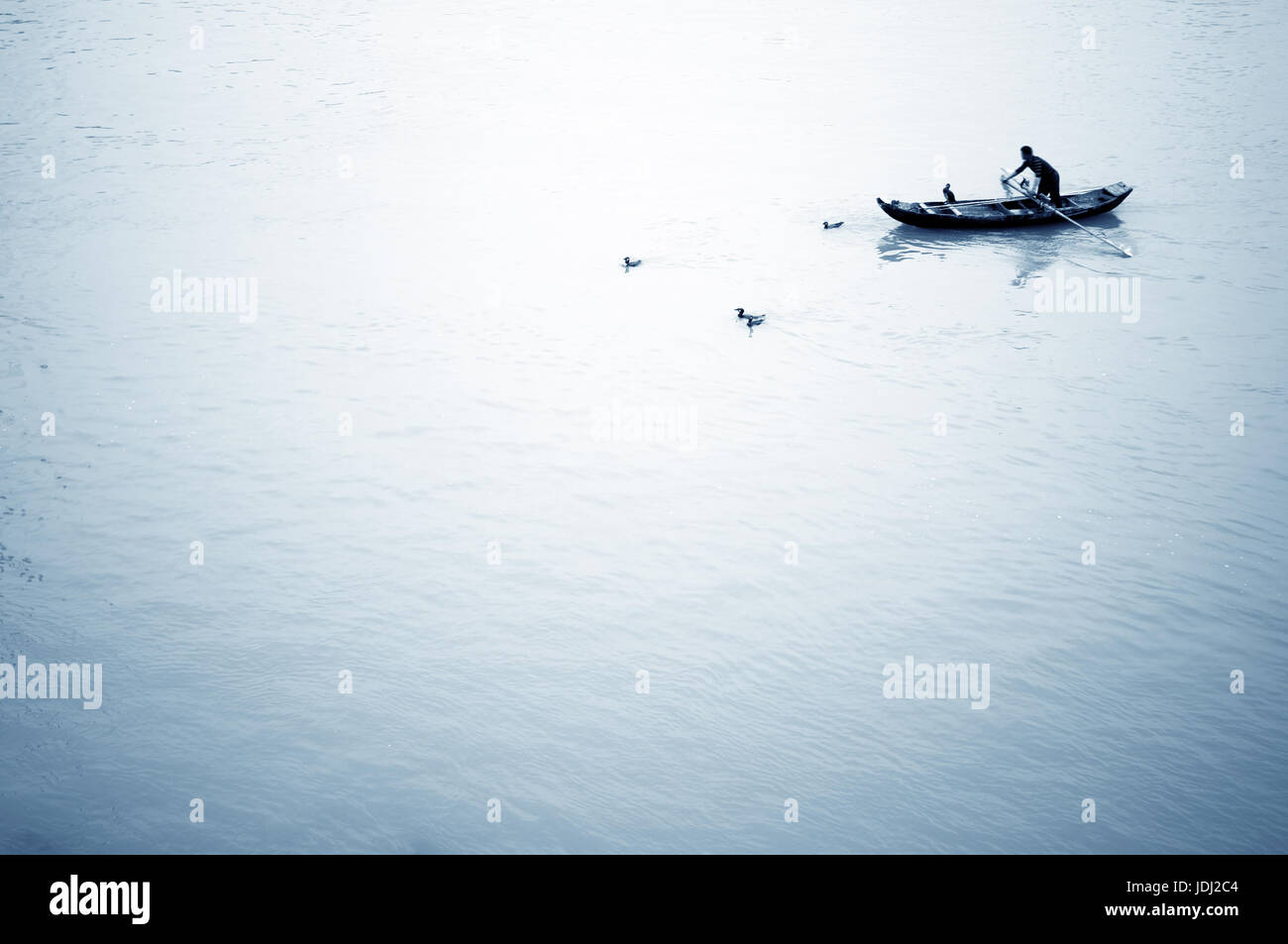The old way of fishing: using cormorants to catch fish Stock Photo - Alamy