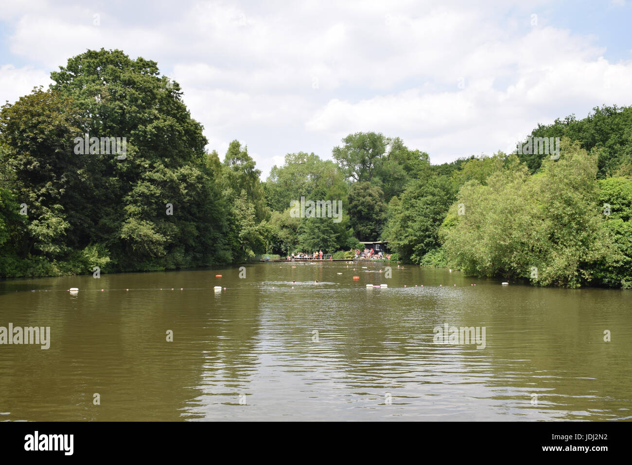 Hampstead mixed pond hi-res stock photography and images - Alamy
