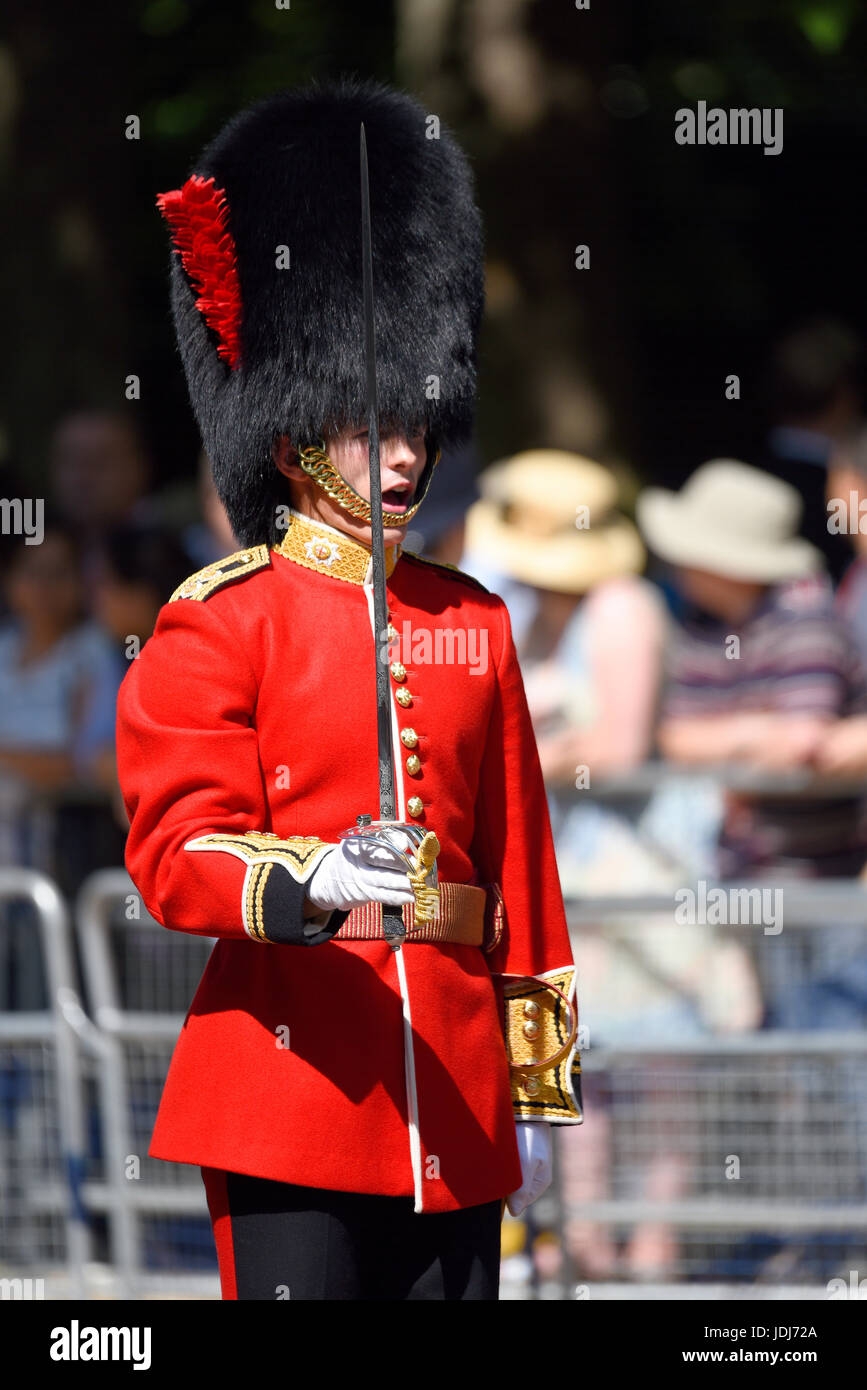 Barking orders hi-res stock photography and images - Alamy