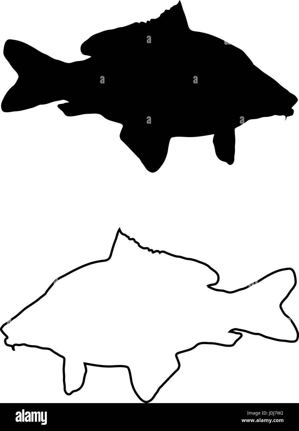 carp silhouette vector, (Cyprinus carpio Stock Vector Image & Art - Alamy