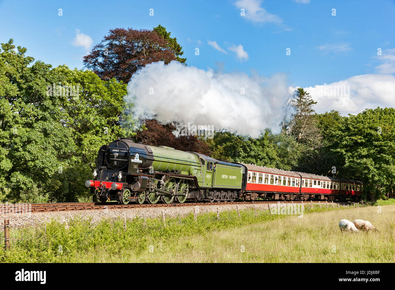Lner tank engine hi-res stock photography and images - Alamy