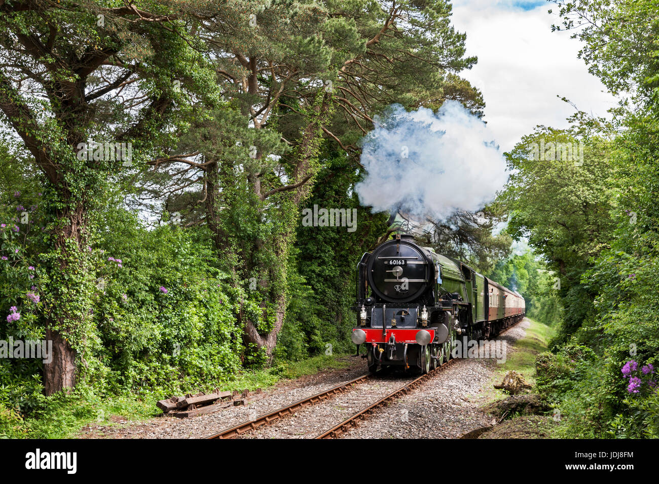 2 6 2 prairie class steam locomotive hi-res stock photography and ...