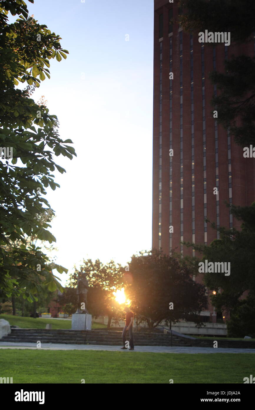 Camous hi-res stock photography and images - Alamy