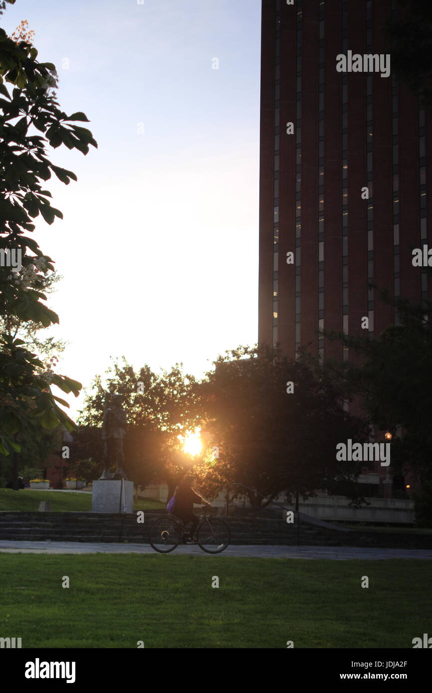 Camous hi-res stock photography and images - Alamy