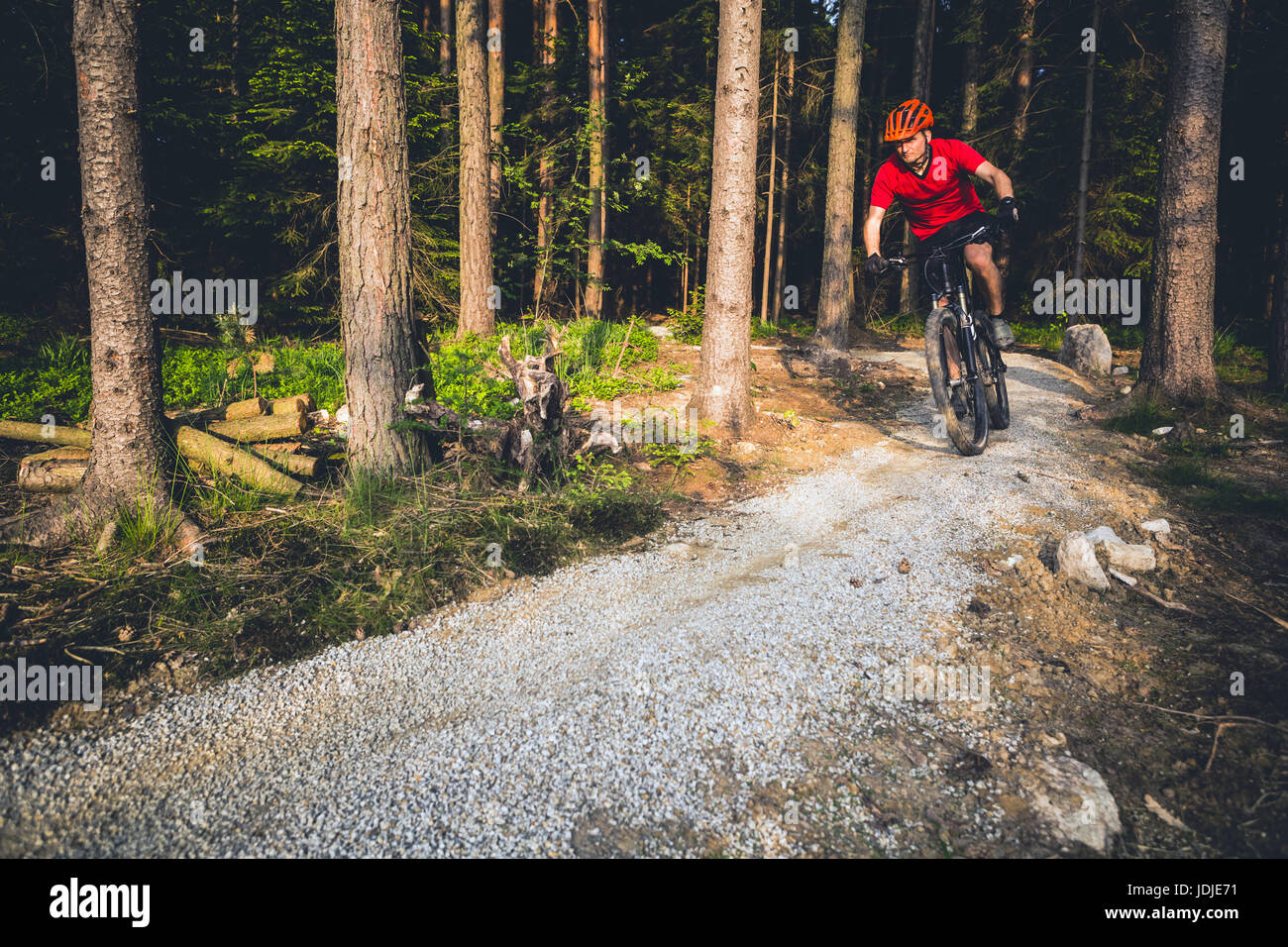 Biker forest hi-res stock photography and images - Alamy