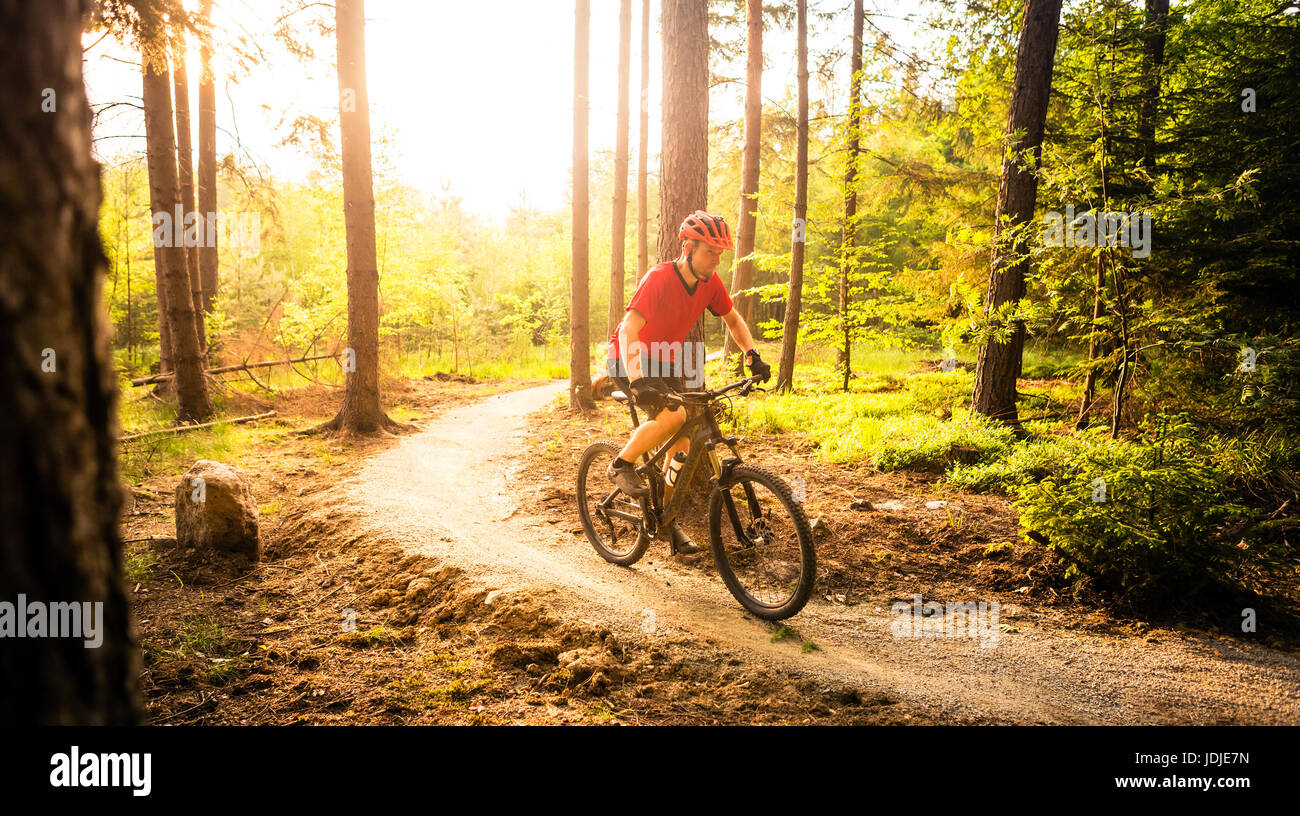 Mountain biker by tree hi-res stock photography and images - Alamy