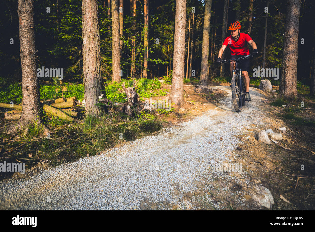 Mountain biker riding on bike in spring inspirational forest landscape ...