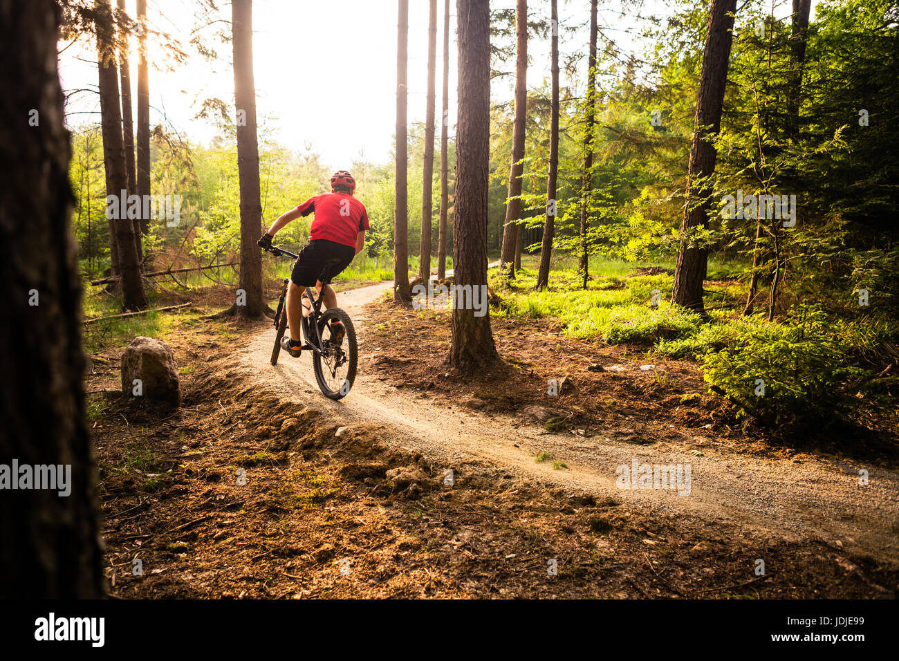 Forest mountain bike trail hi-res stock photography and images - Alamy