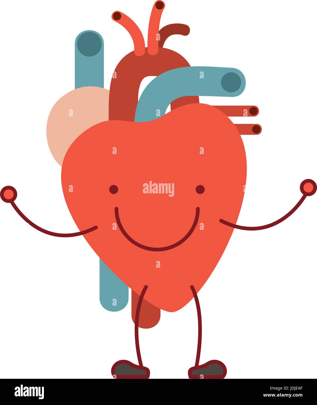 colorful silhouette caricature with happy face circulatory system with ...