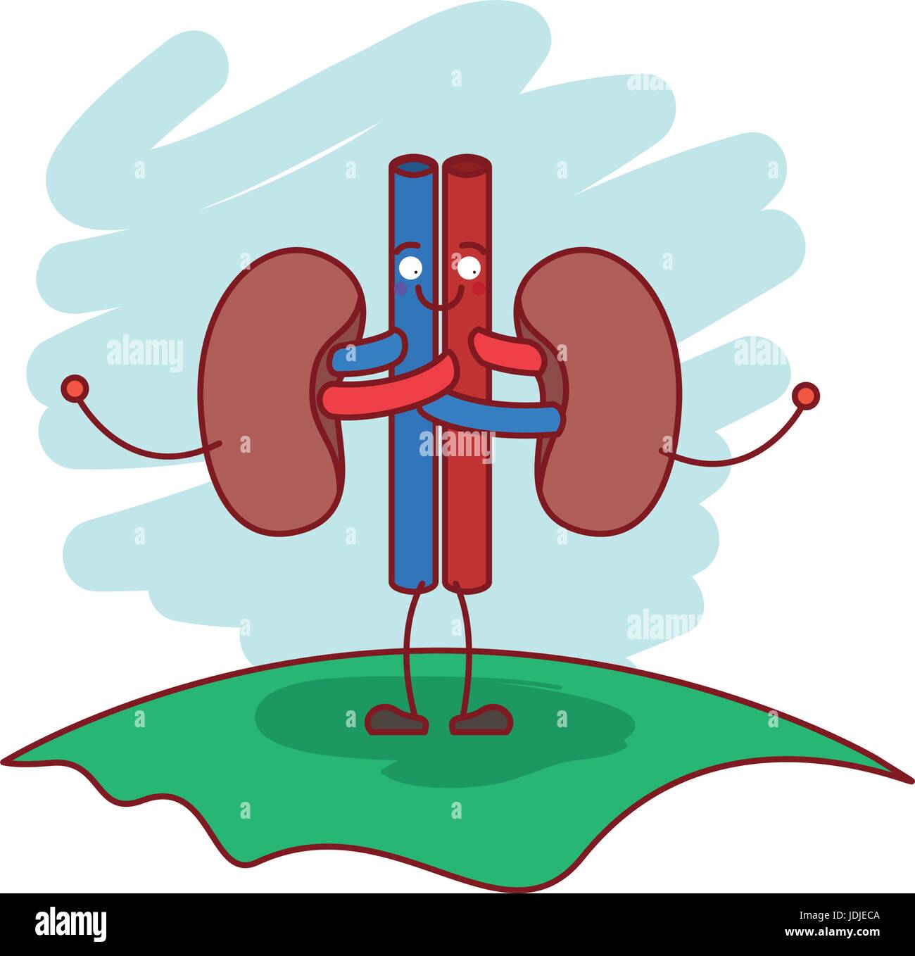 colorful scene in grass with silhouette caricature renal system of ...