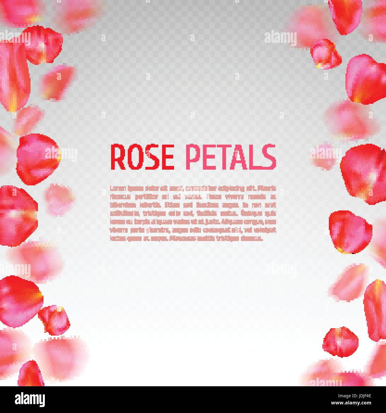 Rose petals border Stock Vector Image & Art - Alamy