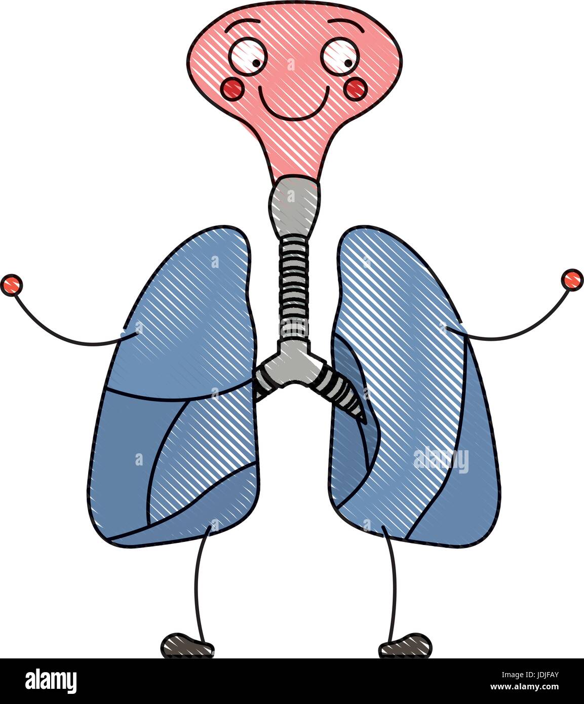 Upper Respiratory Anatomy High Resolution Stock Photography and Images ...