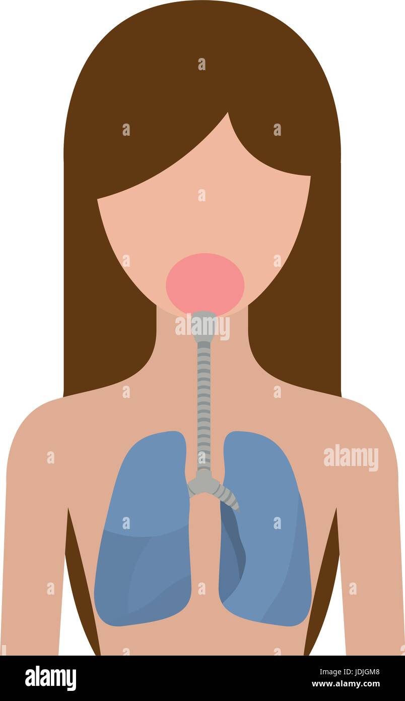 colorful silhouette half body female person with respiratory system ...