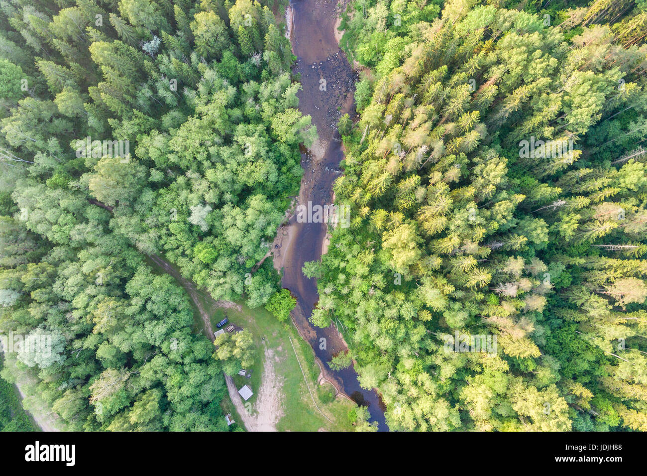 drone image. aerial view of rural area with forest river in summer ...