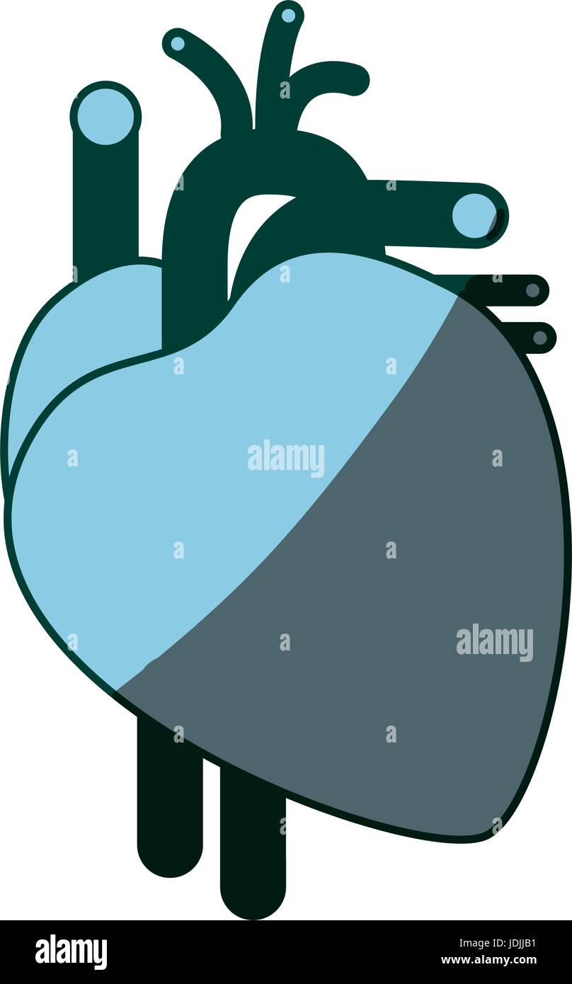 blue color shading silhouette heart system human body Stock Vector ...