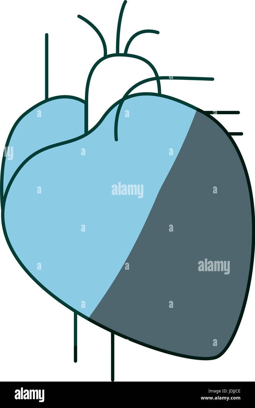 blue color shading contour heart system human body Stock Vector Image ...