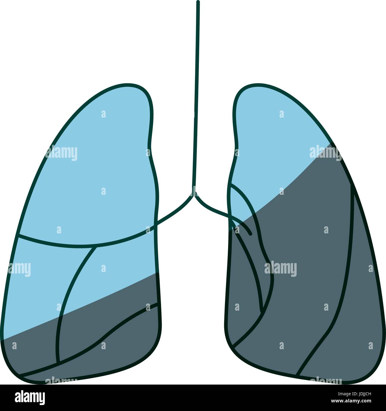 Upper respiratory system illustration hi-res stock photography and ...