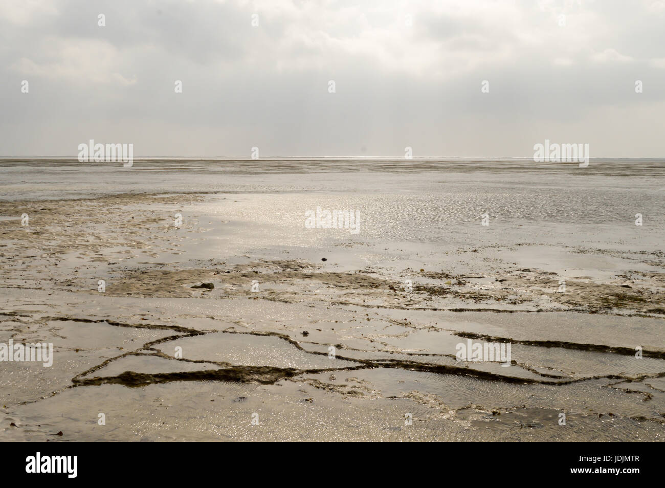 View of the beach and ocean at sunrise in Bamburi, Kenya Stock Photo ...