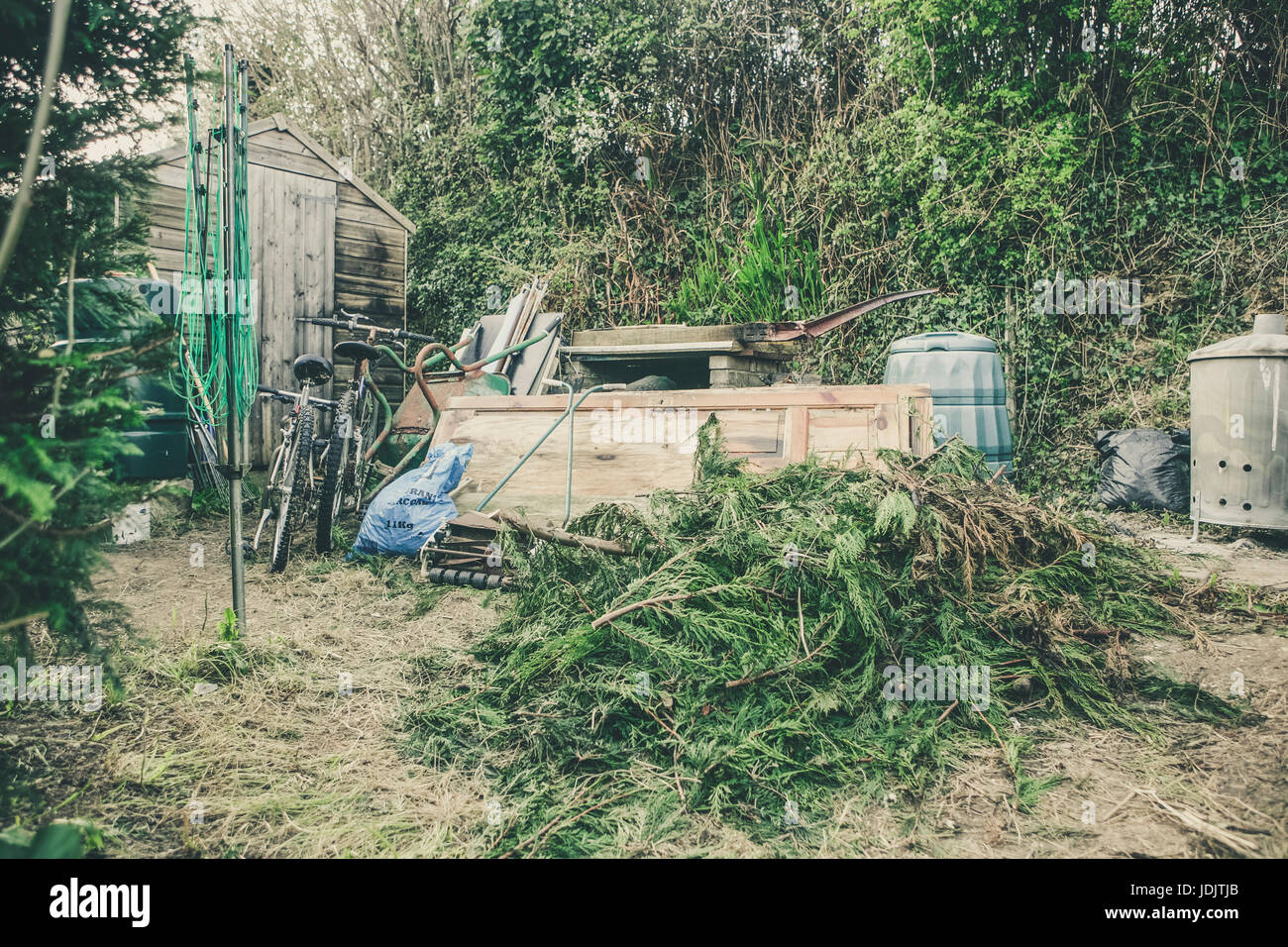 untidy overgrown garden back yard Stock Photo - Alamy