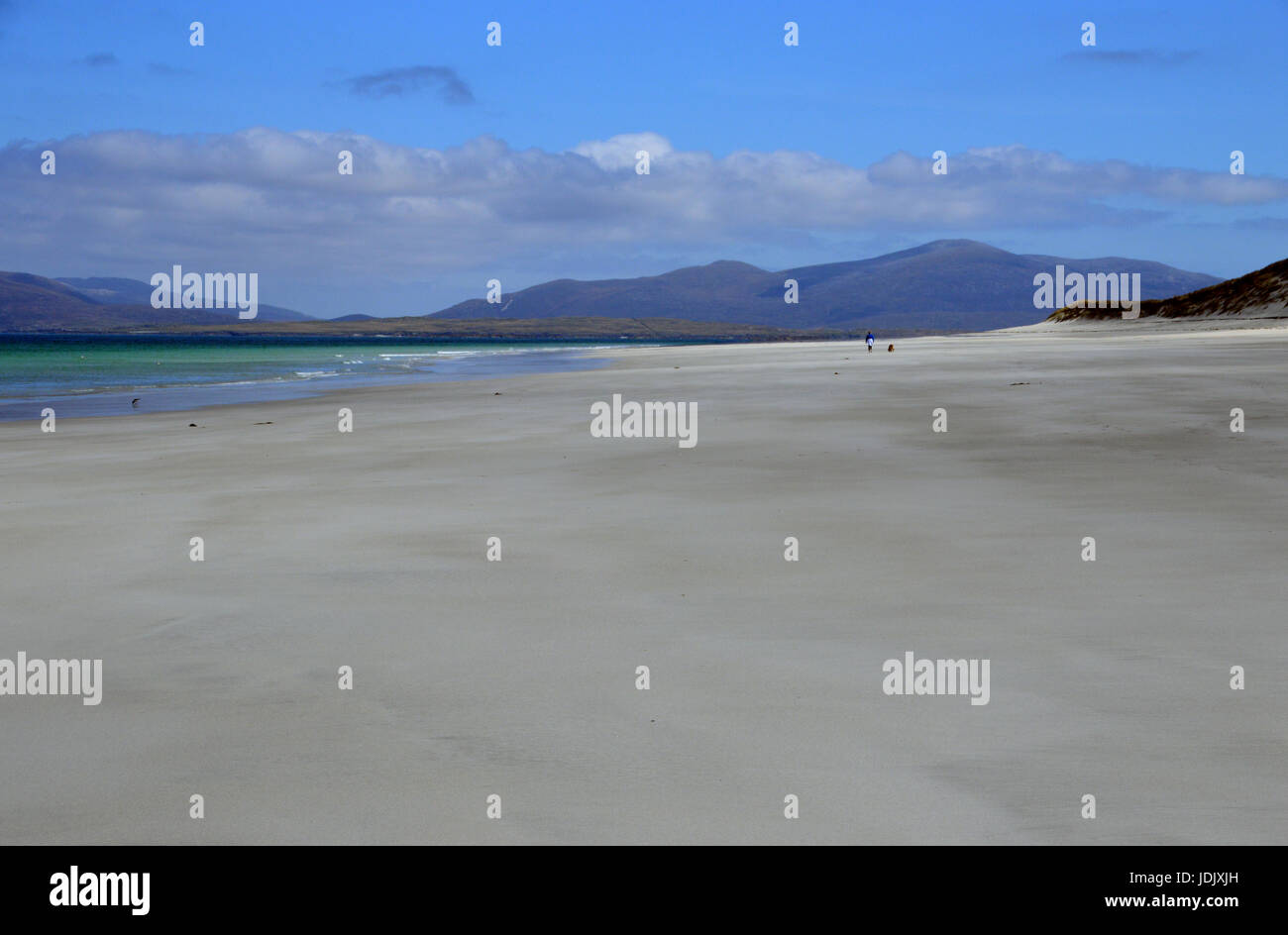 Lone Lady Walking Dog on West Beach on the Island of Berneray ...