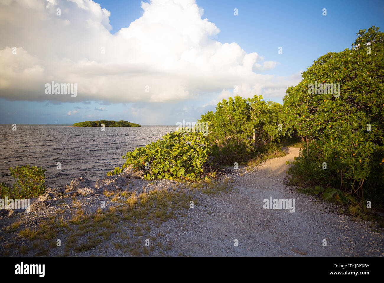 Looking at a tropical island across a gravel path through the mangroves ...