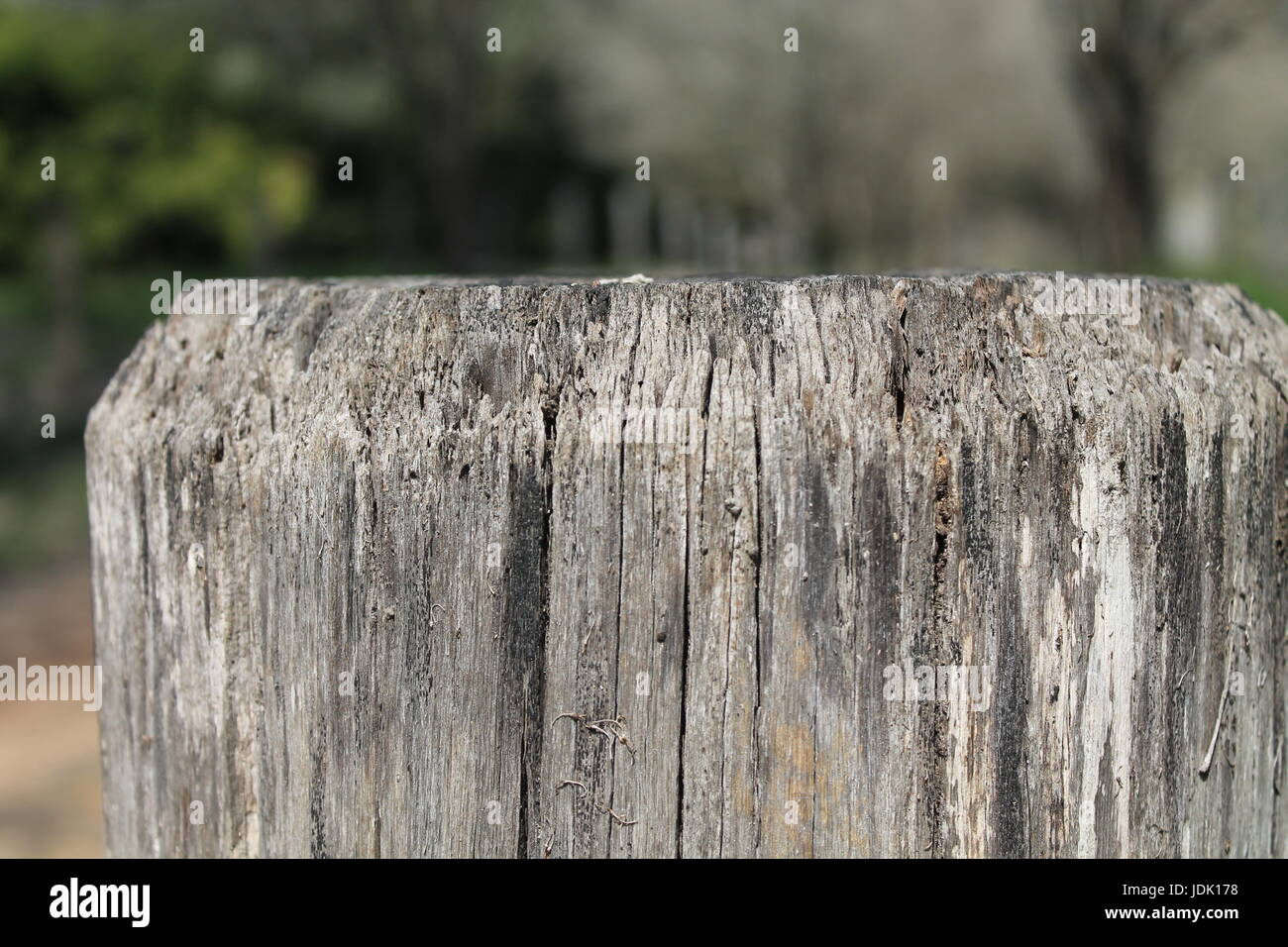 Log pole fence hi-res stock photography and images - Alamy