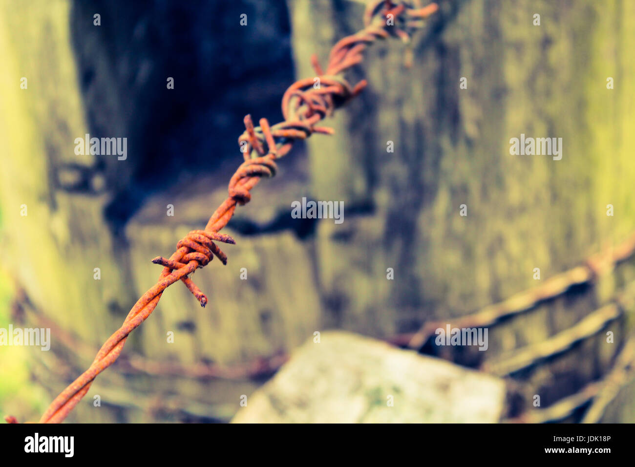 Broken barbed wire hi-res stock photography and images - Alamy