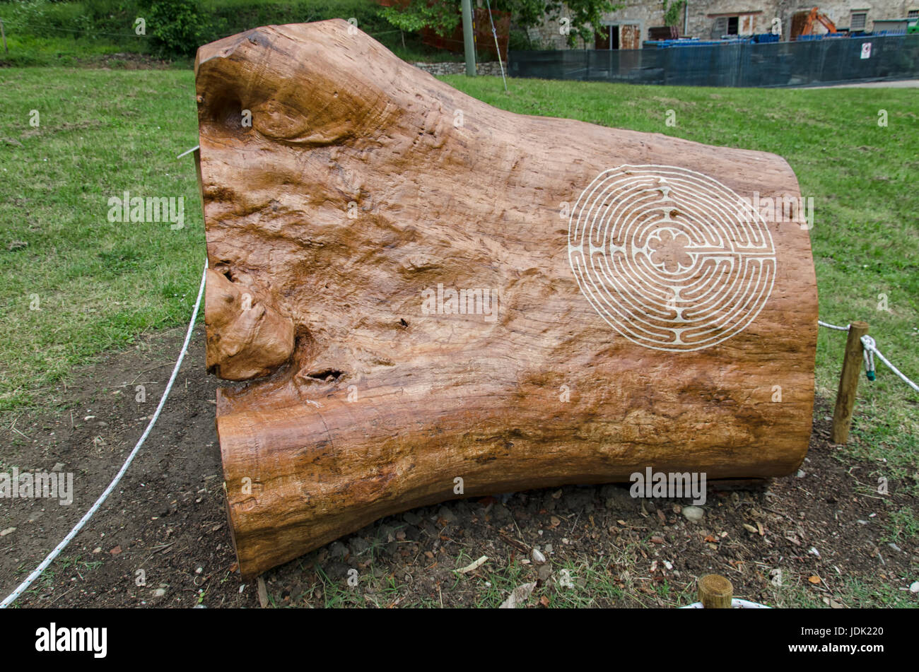 View of strange symbol engraved on a tree Stock Photo - Alamy