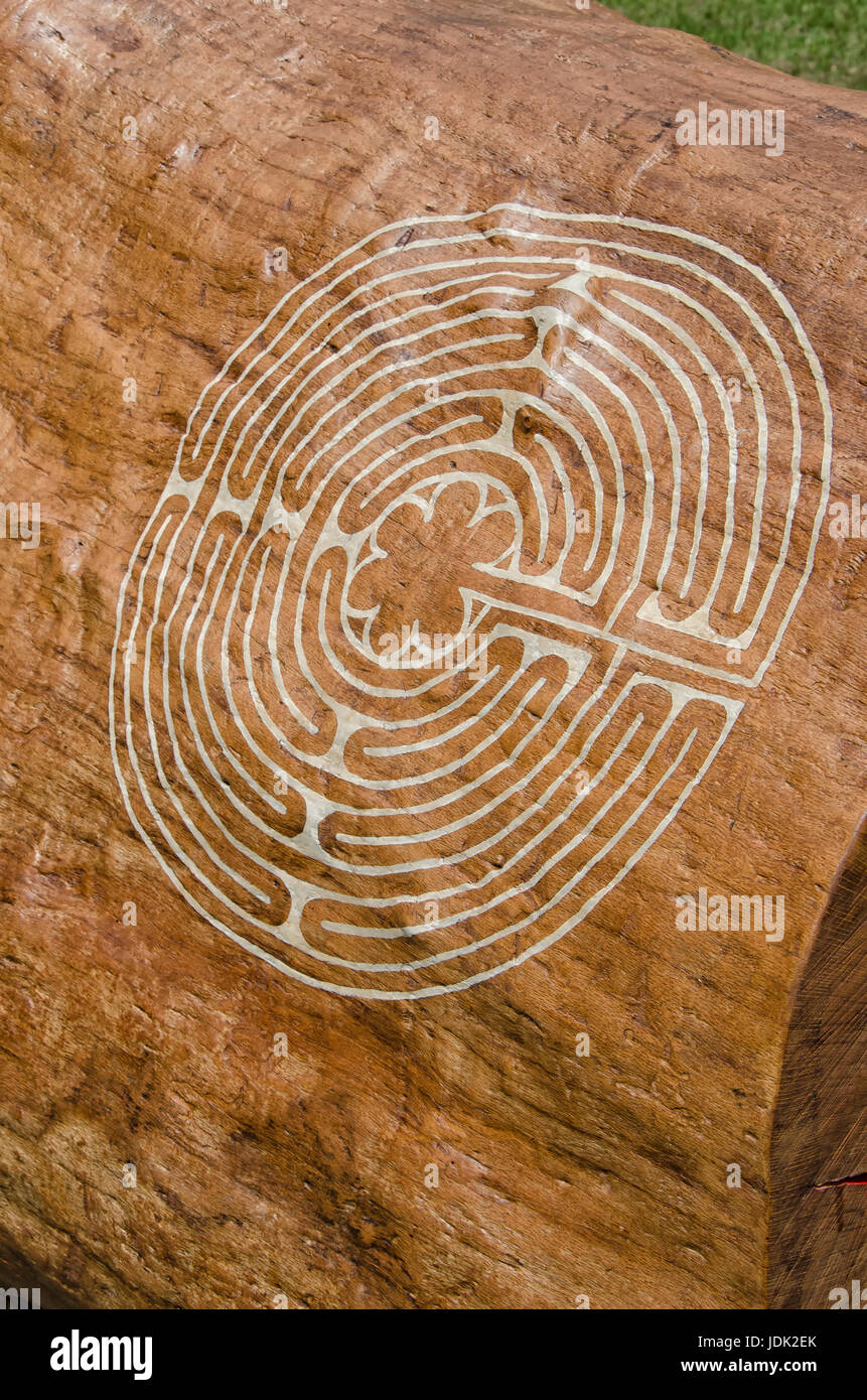 View of strange maze engraved on a tree Stock Photo - Alamy
