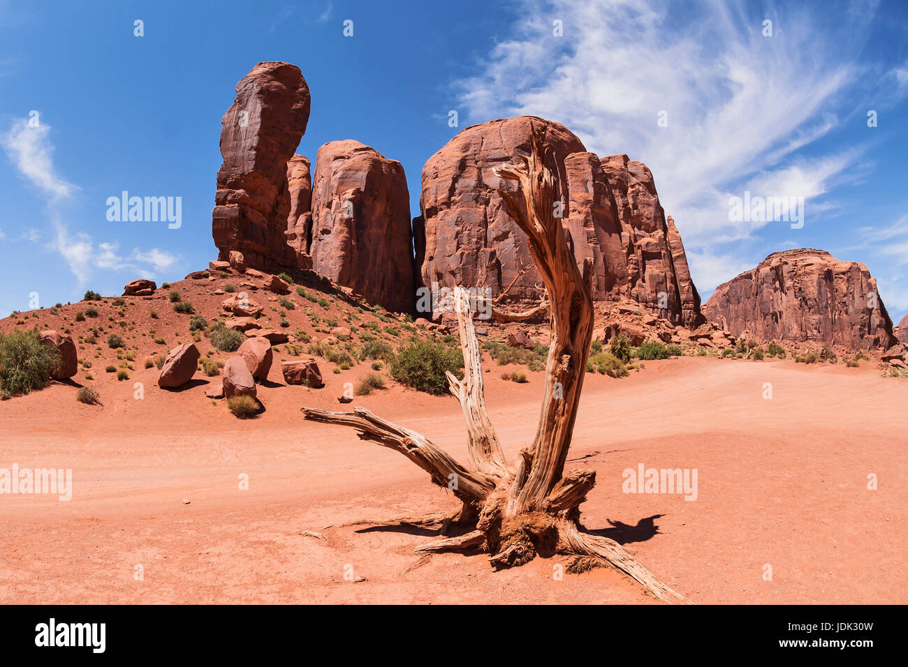 Monument Valley landscape with withered tree , Utah, USA Stock Photo ...