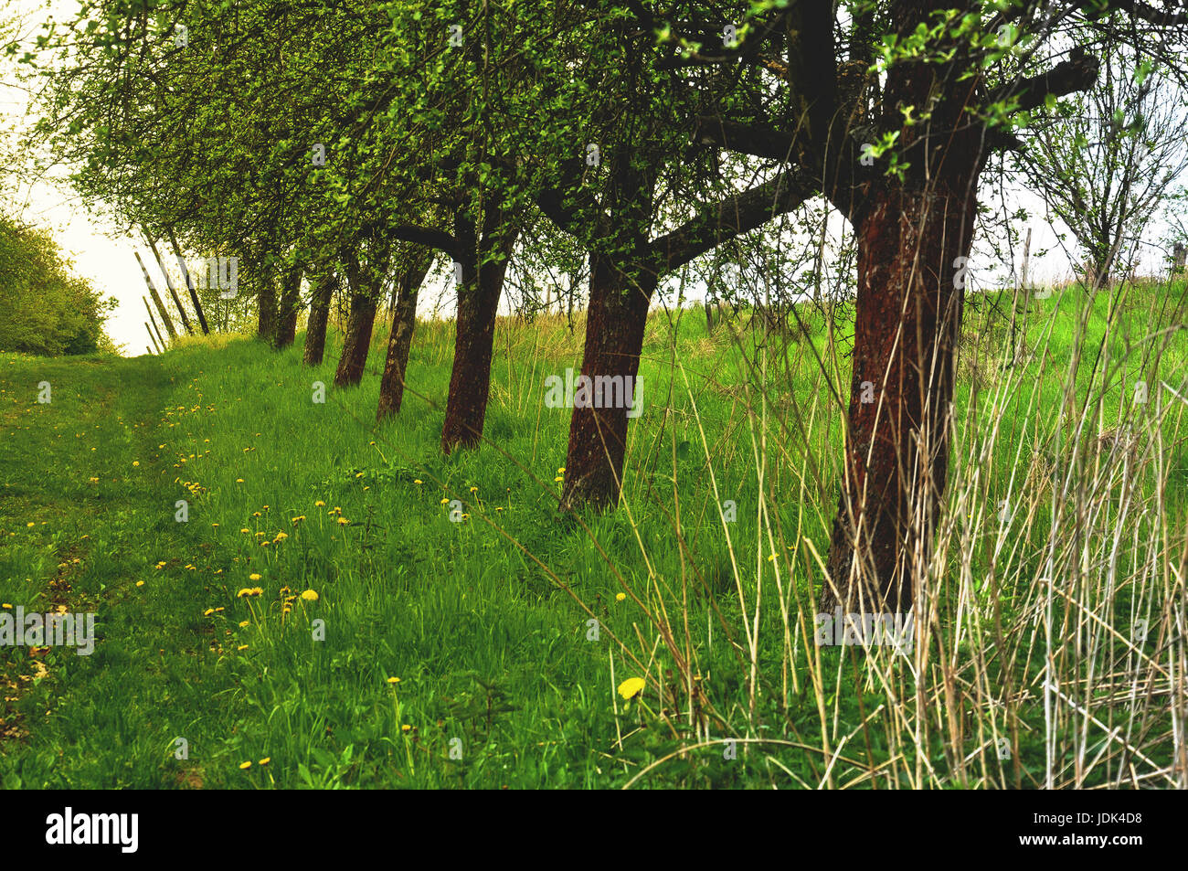 Apple orchard road hi-res stock photography and images - Alamy