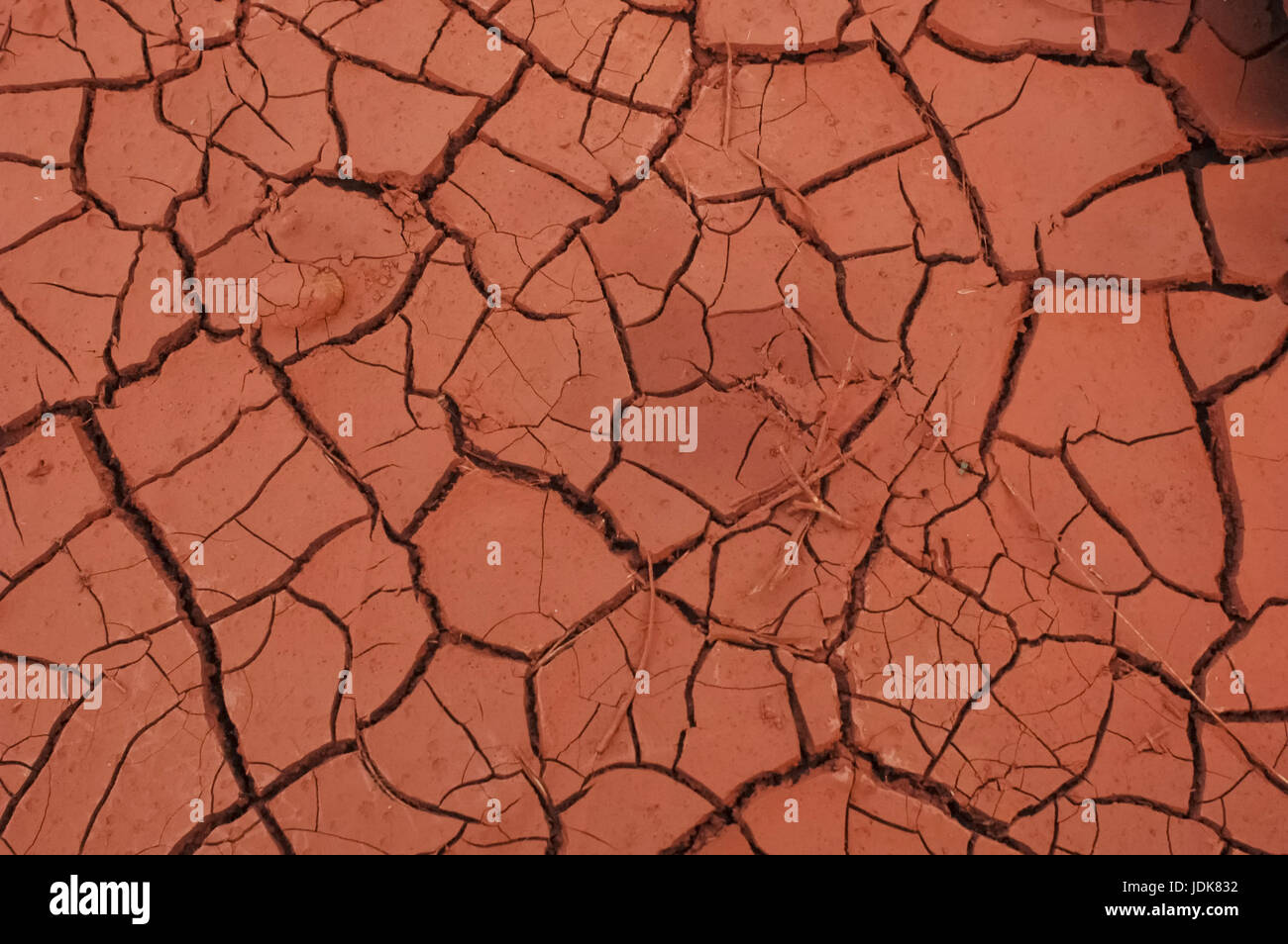 Red argil texture that can be used as material Stock Photo - Alamy