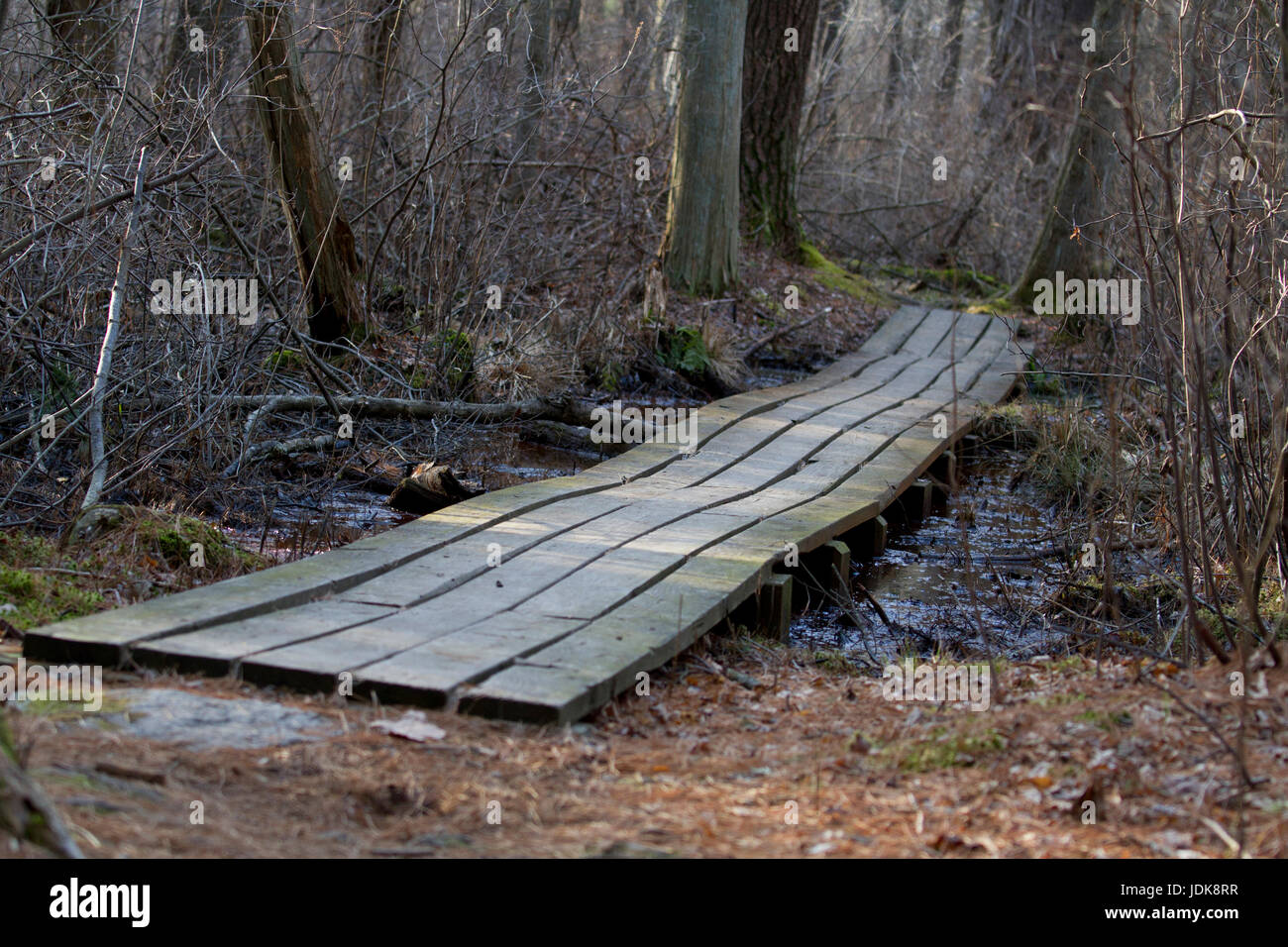 Swamp Bridge High Resolution Stock Photography and Images - Alamy