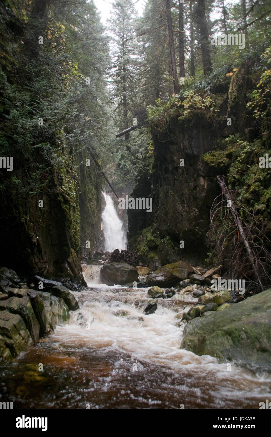A remote creek and waterfall emptying into Smith Inlet in the Great ...