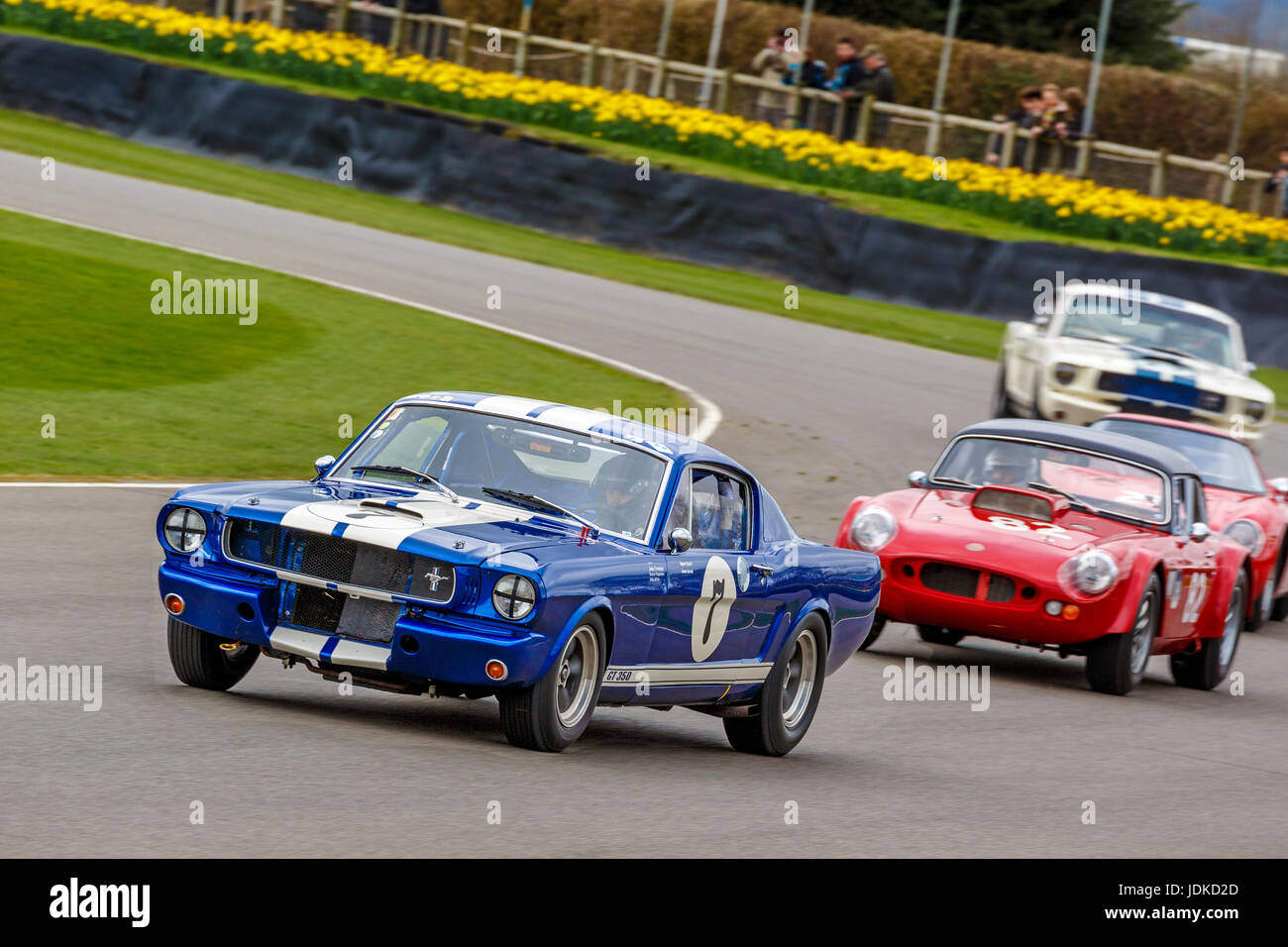1965 Ford Shelby Mustang GT350 with driver Rupert Clevely during the ...