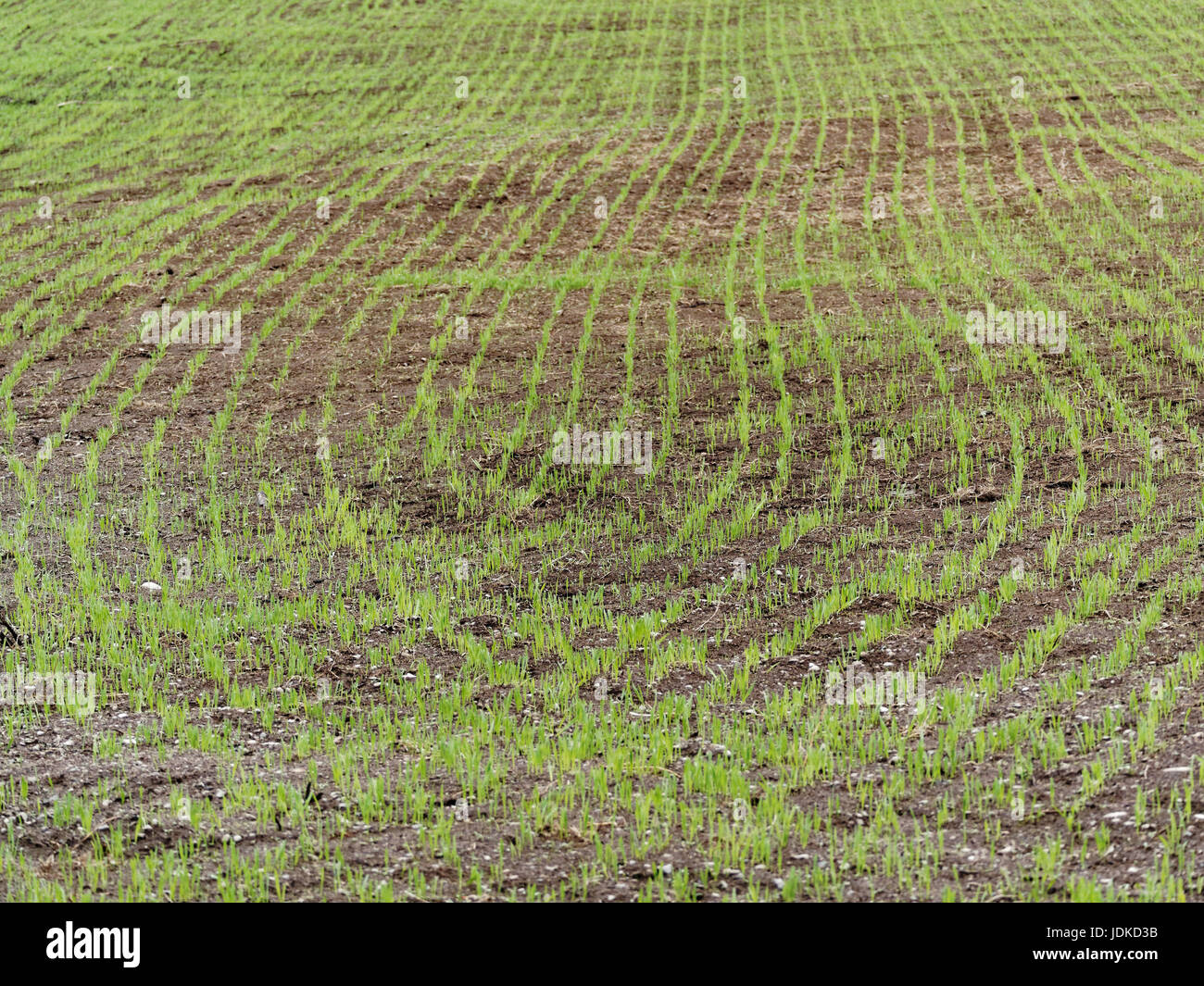 Crop field patterns hi-res stock photography and images - Alamy