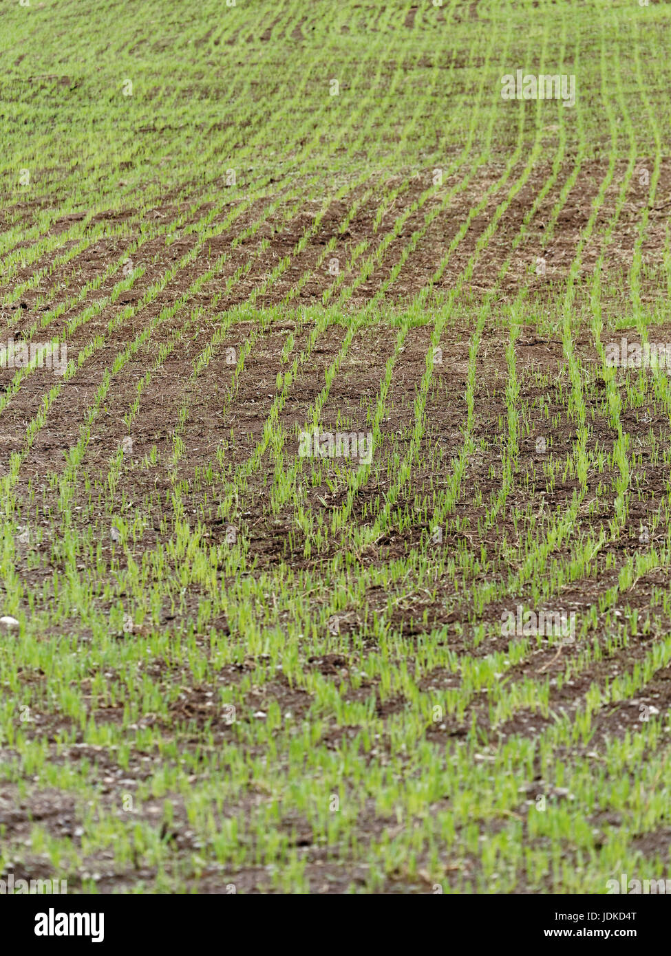 Crop field patterns hi-res stock photography and images - Alamy