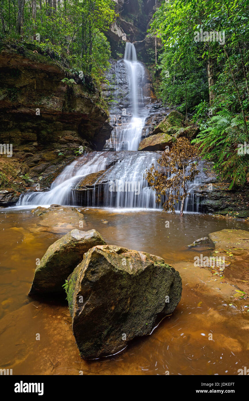 Waterfall in the chill-temperate rain forest of the Blue Mountains ...