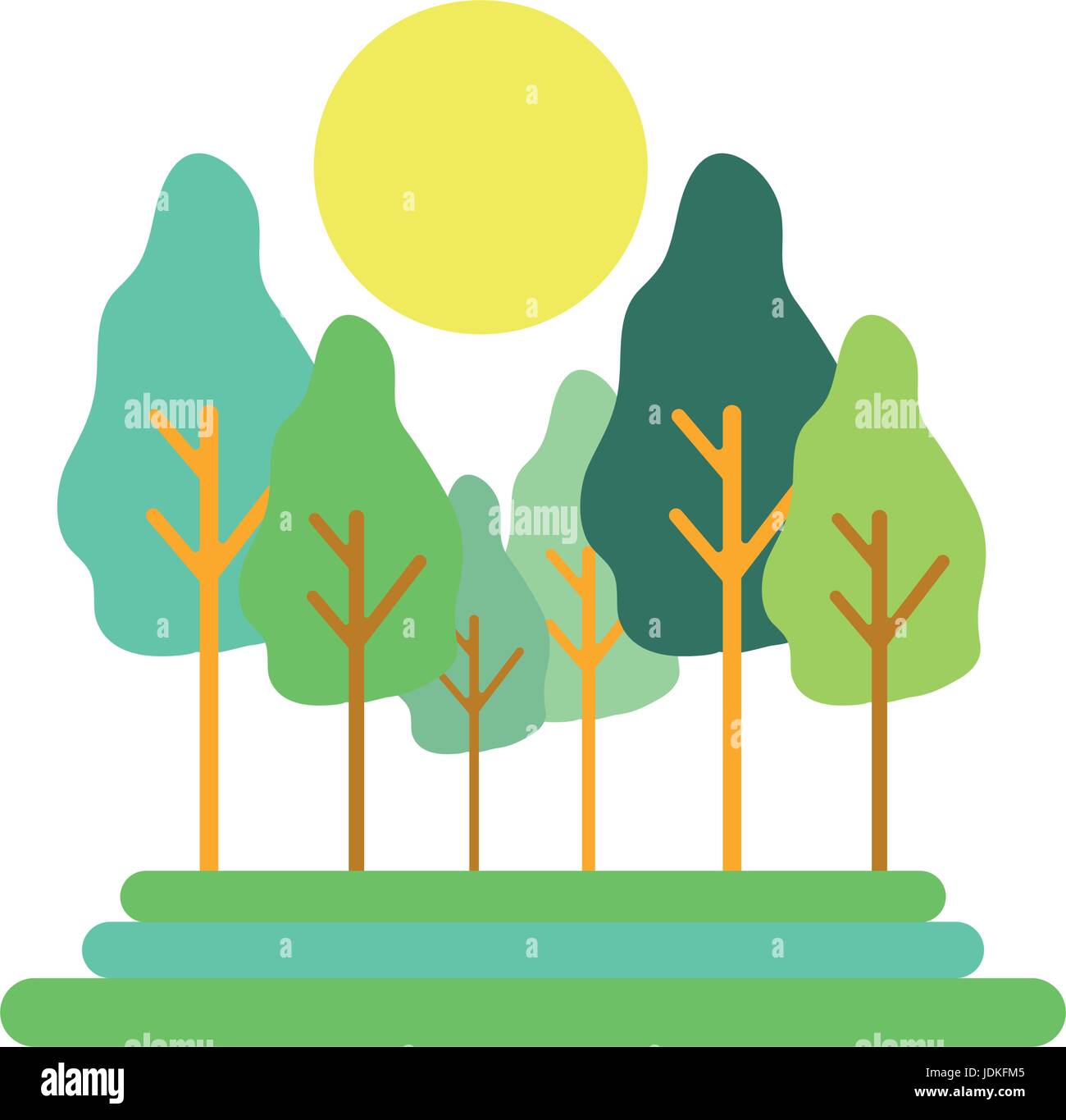 forest with trees and sun Stock Vector Image & Art - Alamy