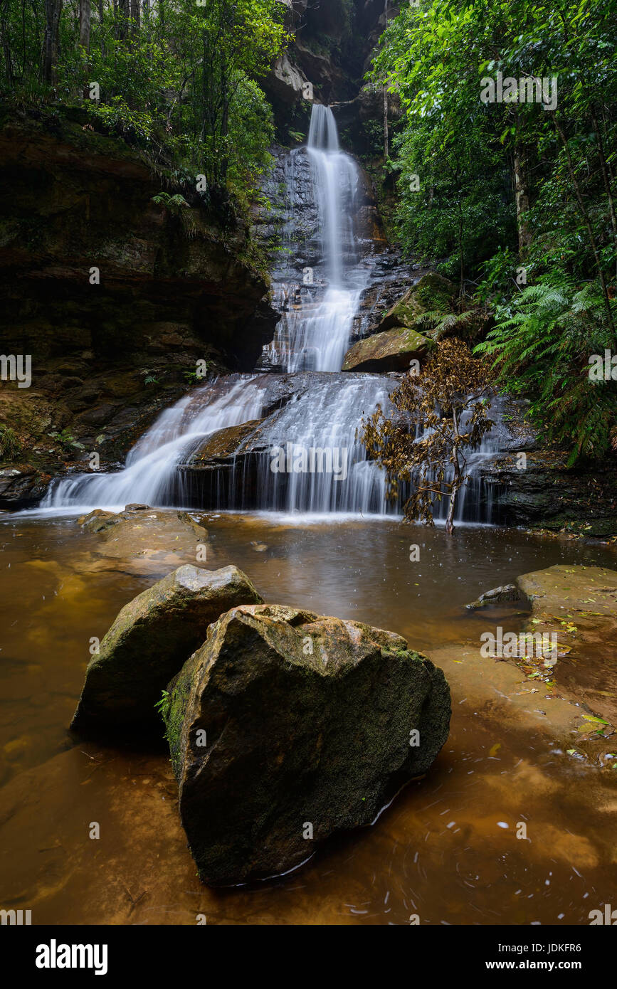 Waterfall in the chill-temperate rain forest of the Blue Mountains ...