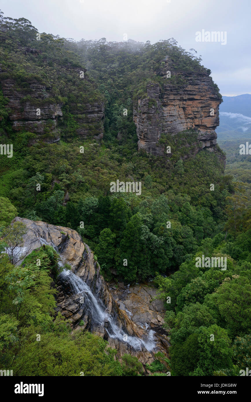 Chill temperate rain forest hi-res stock photography and images - Alamy
