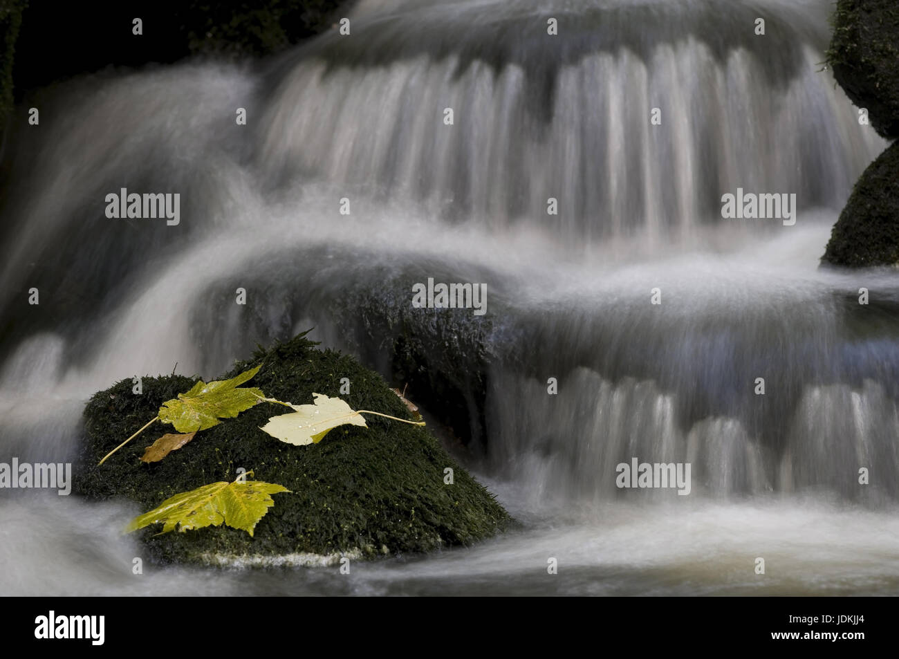 Autumn, water, waterfall Stock Photo - Alamy