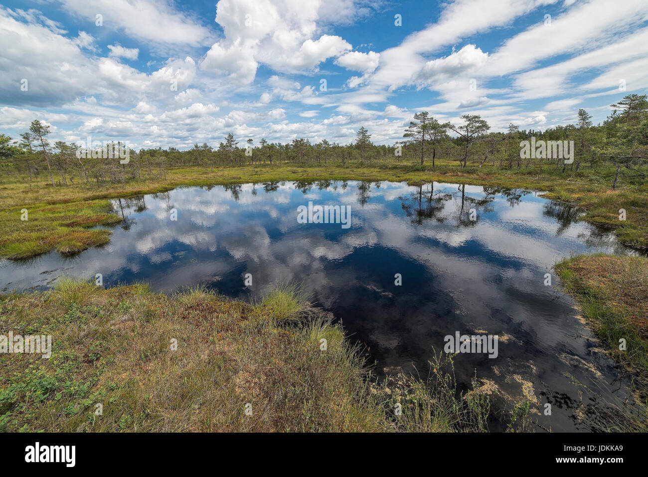 Hochmoor in Schweden, Hill Moor Stock Photo - Alamy