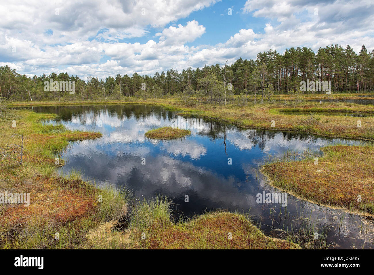 Hochmoor in Schweden, Hill Moor Stock Photo - Alamy